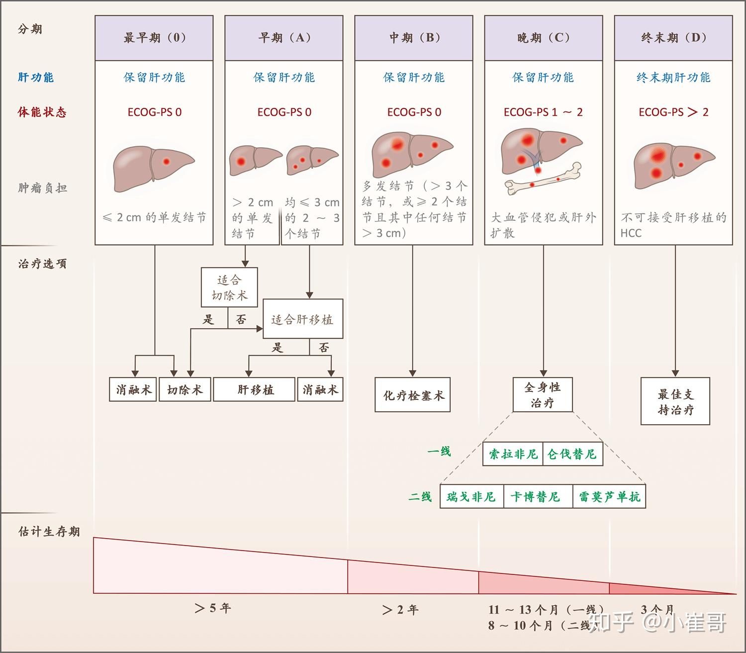 什么是肝癌巴萨罗那BCLC分期？ - 知乎