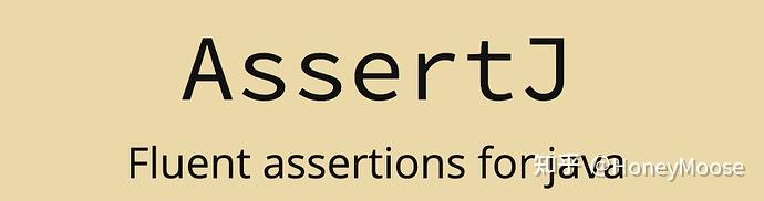 Assertj 的异常（exception ）断言 知乎