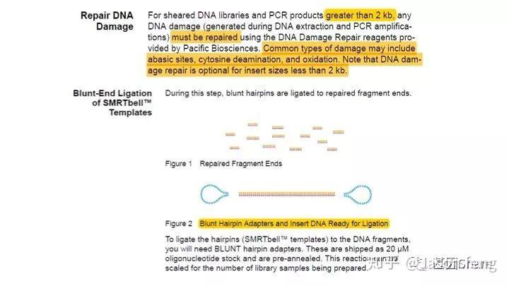 Pacbio测序原理以及SMRT bell文库构建流程简述 - 知乎