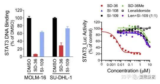 STAT3相关通路及其抑制剂、降解剂研究进展 - 知乎