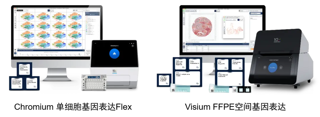 实用干货 | FFPE样本单细胞&空间技术联合解决方案 - 知乎