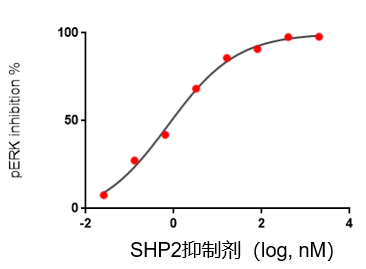 SHP2抑制剂研究中的药效学生物标志物-磷酸化ERK1/2蛋白检测 - 知乎
