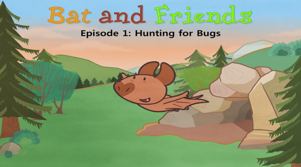 建议收藏！Little Fox到底该怎么用？ - 知乎