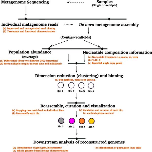 从CONCOCT入手理解宏基因组binning - 知乎