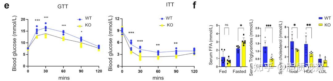 Nature Comunications｜脂滴相关蛋白ApoL6 通过与 Perilipin1互作抑制脂肪分解 - 知乎