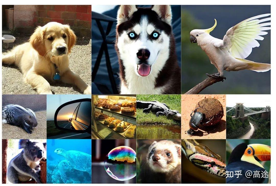 一文搞懂DiT （Diffusion Transformer） - 知乎