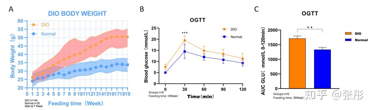 DIO-B6小鼠｜高脂饮食诱导的肥胖小鼠模型（DIO） - 知乎