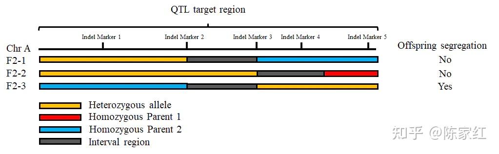 Fine mapping定位QTL - 知乎