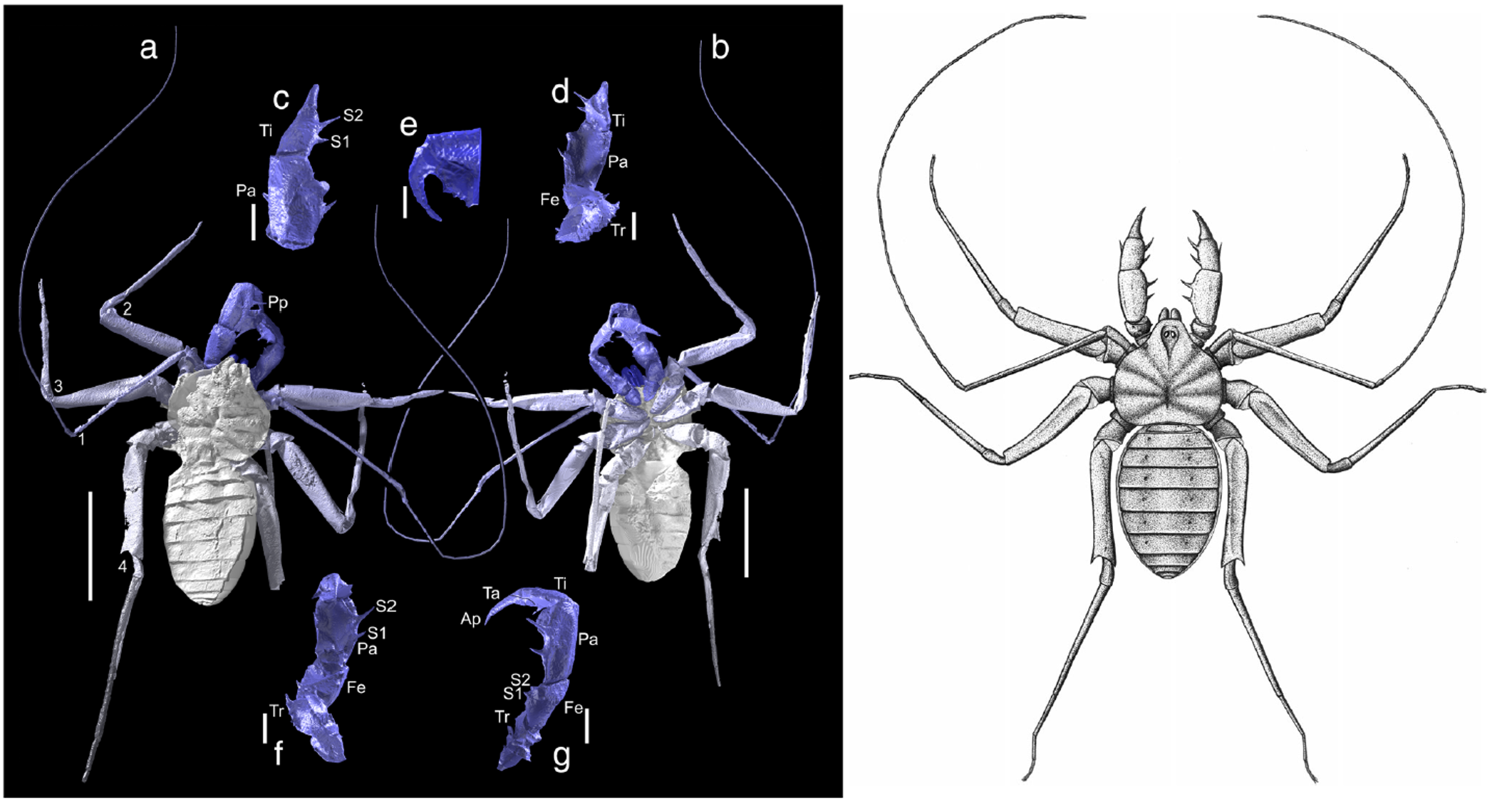 【地球演义】铁虿狰狞10：收割者 - 知乎