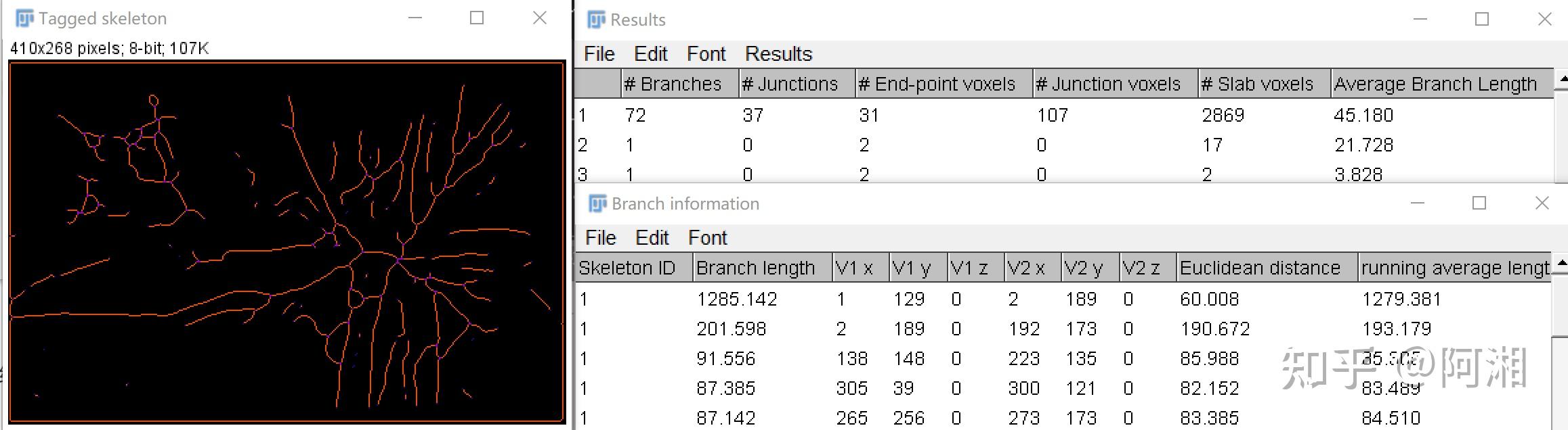 ImageJ分析细胞形态 - 知乎