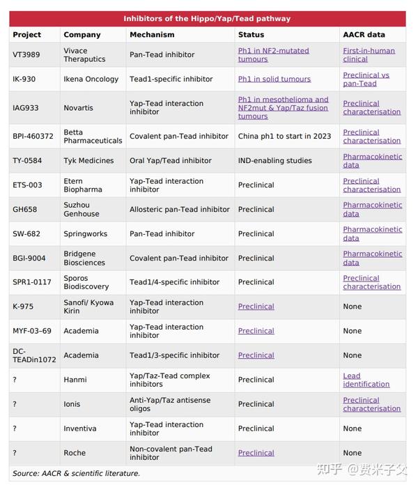 AACR 2023 新靶点：河马激起了水花 - 知乎
