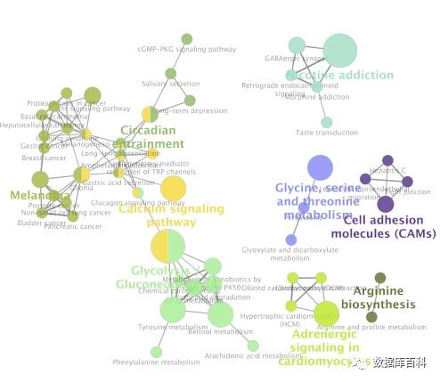 GO分析和KEGG分析都是啥？ - 知乎