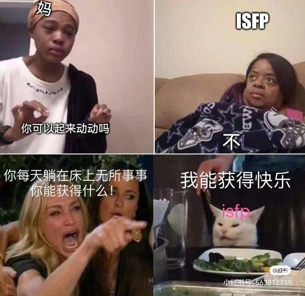 ISFP梗图一览 - 知乎
