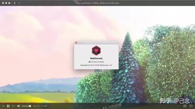 【BT种子在线播放下载软件】WebTorrent Mac最新版 - 知乎