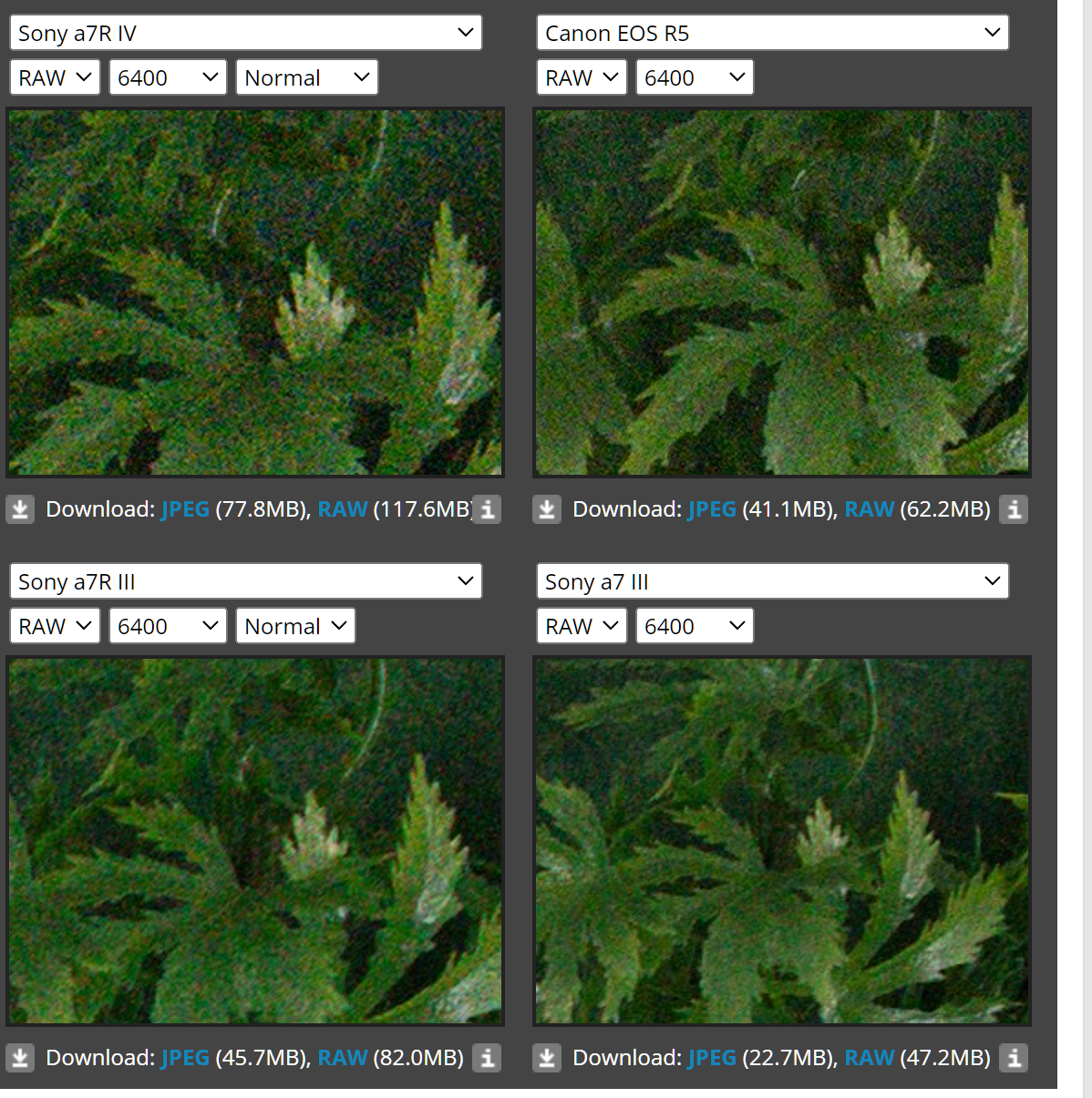 A7R5和EOS R5谁更值得入手？