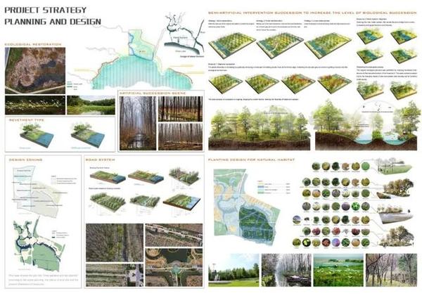 2019 Ifla开放空间类荣誉奖 合肥滨湖国家级湿地森林公园 知乎