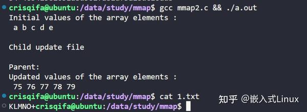 mmap的实例 - 知乎