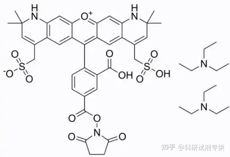 AF568活化酯，AF 568 NHS ester，一种荧光标记试剂 - 知乎