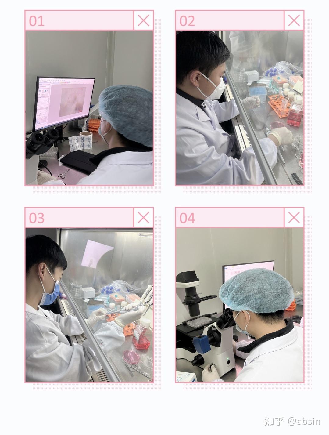 Absin类器官实操大本营第三期圆满结束！！ - 知乎