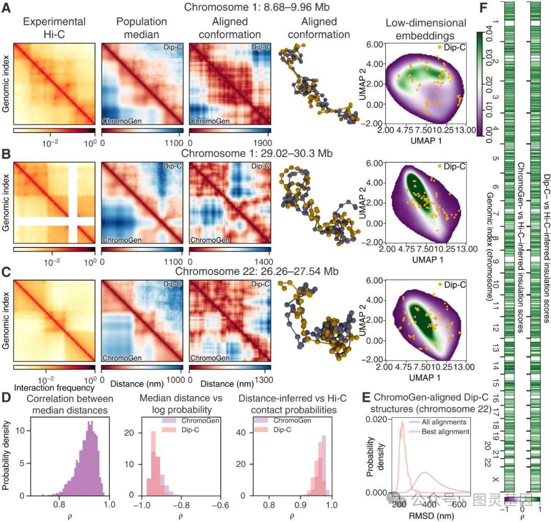 Sci Adv | 生成式AI模型ChromoGen快速预测单细胞染色质构象 - 知乎