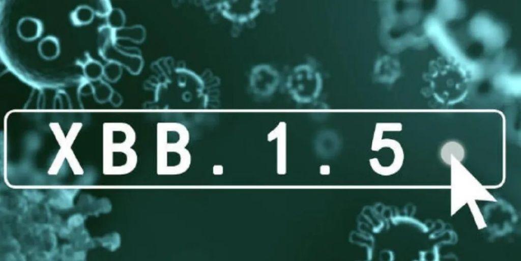 揭秘毒王XBB - 知乎