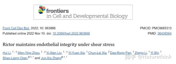 Rictor 在剪切应力下保持内皮完整性 - 知乎