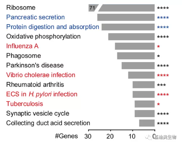 OmicShare云平台5周年，绘图神器全面降价！ - 知乎