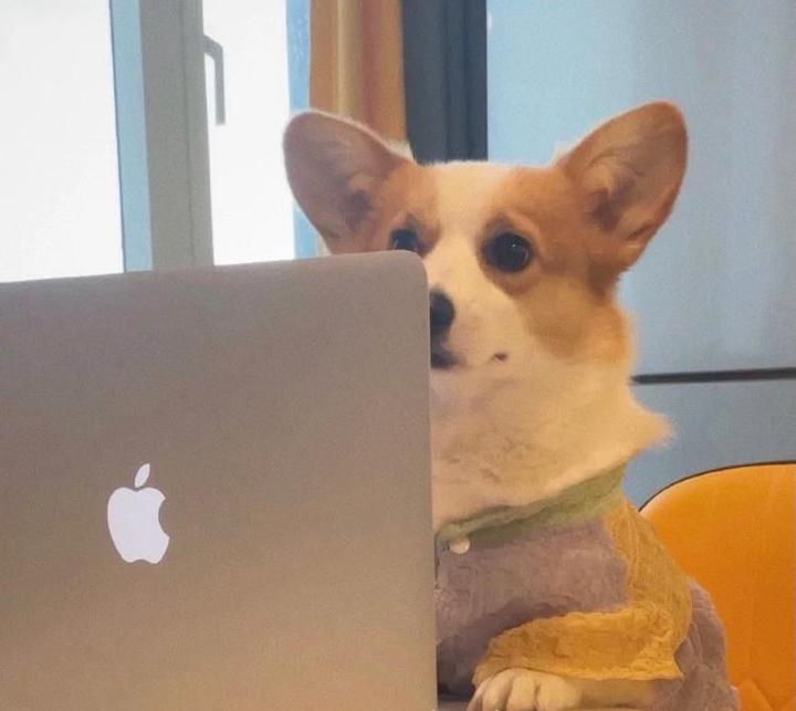 [Unity3D]ScriptableObject解析 - 知乎