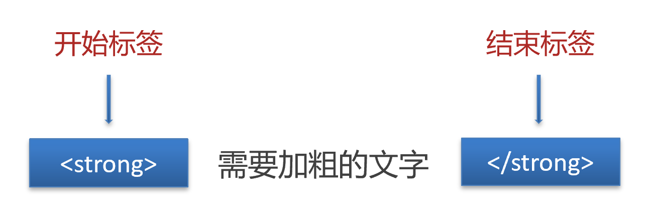 day01-HTML基础 丨2023新版前端web入门 - 知乎