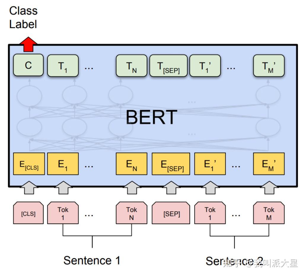 【一文读懂】从零开始理解BERT模型核心原理 - 知乎