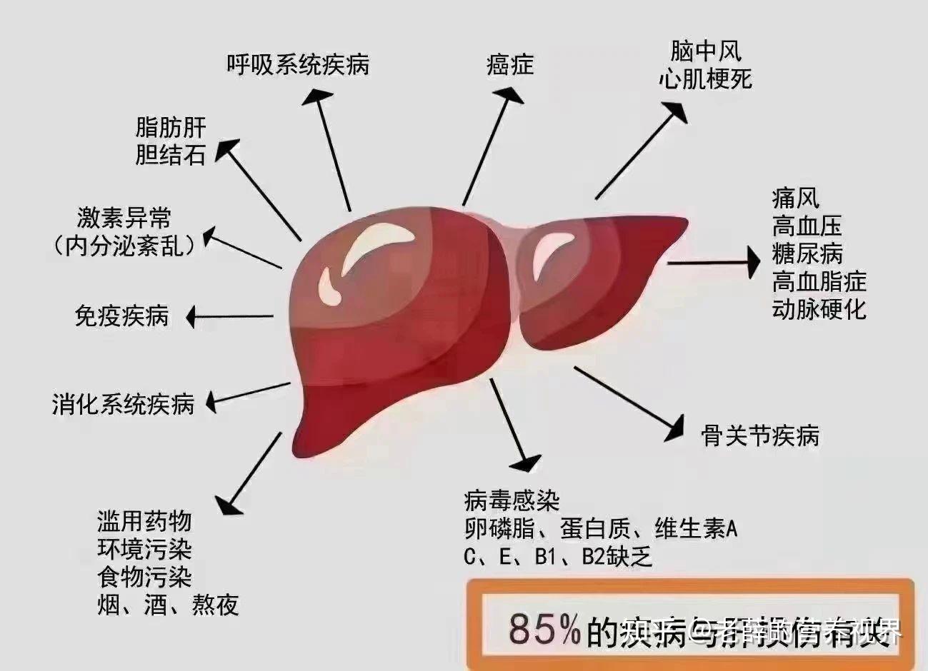 为什么身体的 解毒”和 排毒”能力那么重要?如果不想身体成 垃圾桶”,堆满毒素,养肝护肝必须重视起来! 知乎
