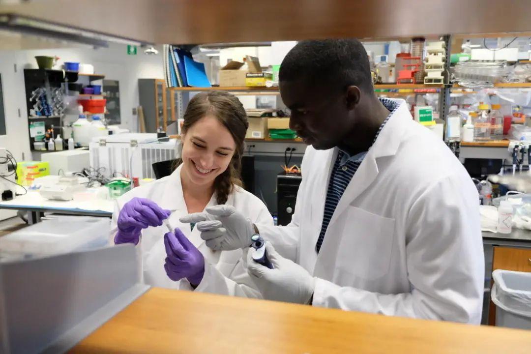 2022年高含金量STEM夏校集合, 不可错过的名校申请“敲门砖” - 知乎