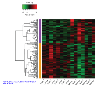 如何用GenePattern作出如文献中所示的热图及聚类图片 - 知乎