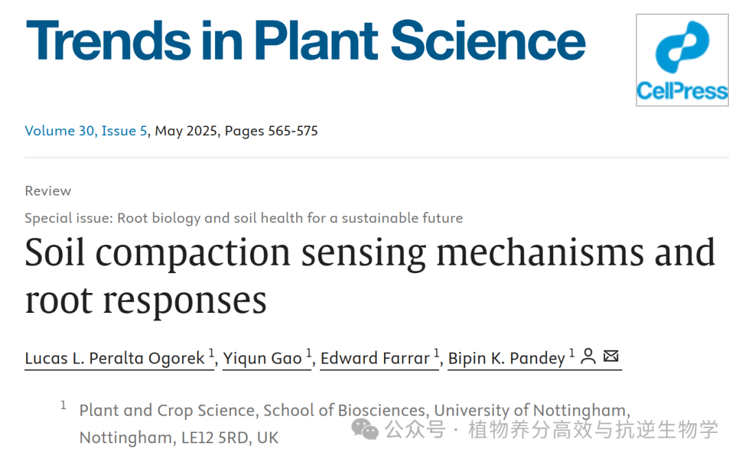 【Trends Plant Sci.】植物如何破解地下“硬核”生存密码？ - 知乎