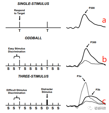 经典再读 | P3a与P3b的整合理论 - 知乎