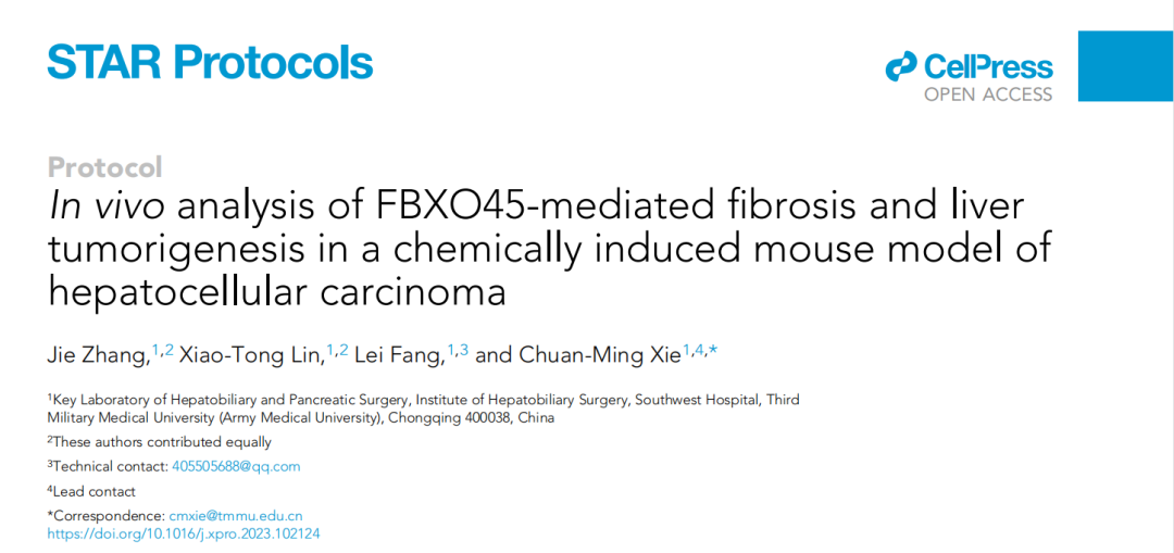 STAR Protocols︱陆军军医大学谢传明课题组发展利用化学药物加速转基因小鼠肝癌进展的实验方案 - 知乎