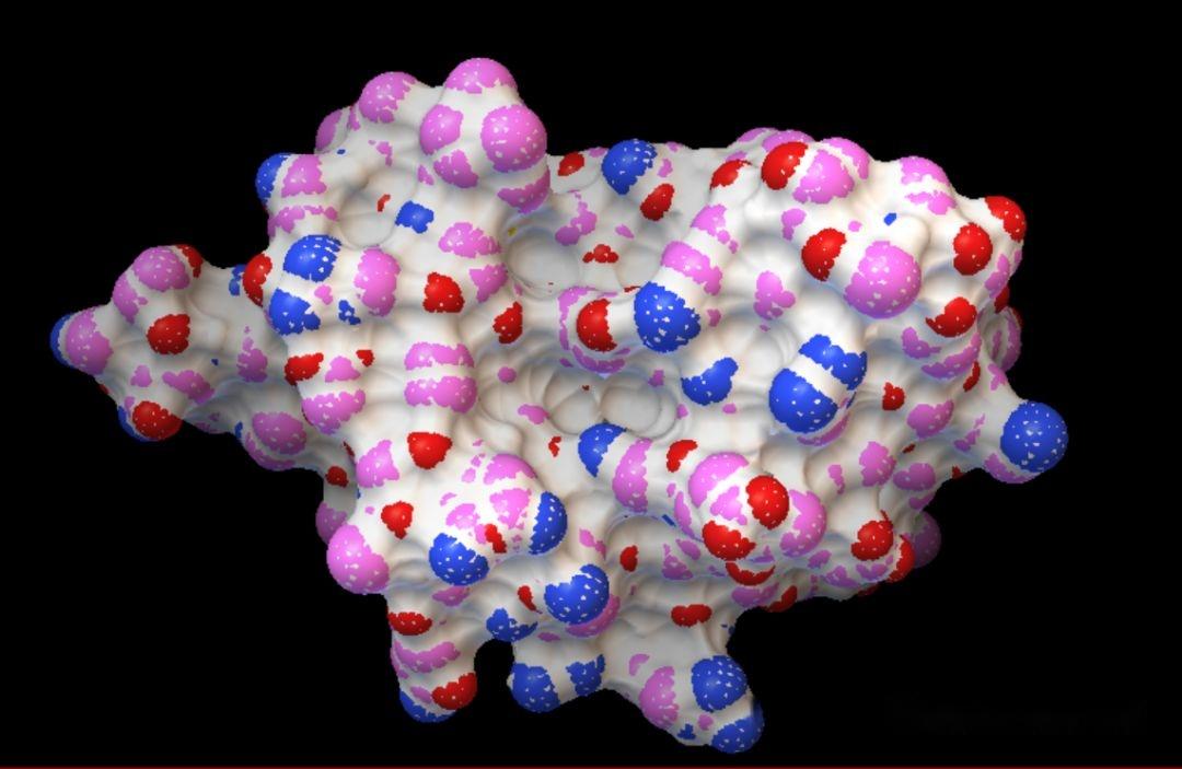 采用PyRx-Vina, DS和PyMol进行对接和分析结果 - 知乎