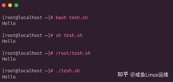 关于 Bash 脚本中 Shebang 的趣事 - 知乎