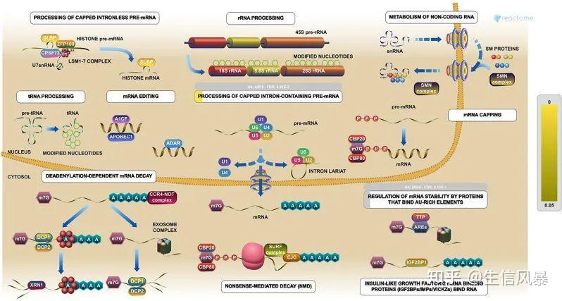 7+差异分析+WGCNA+PPI网络，学会了不吃亏 - 知乎