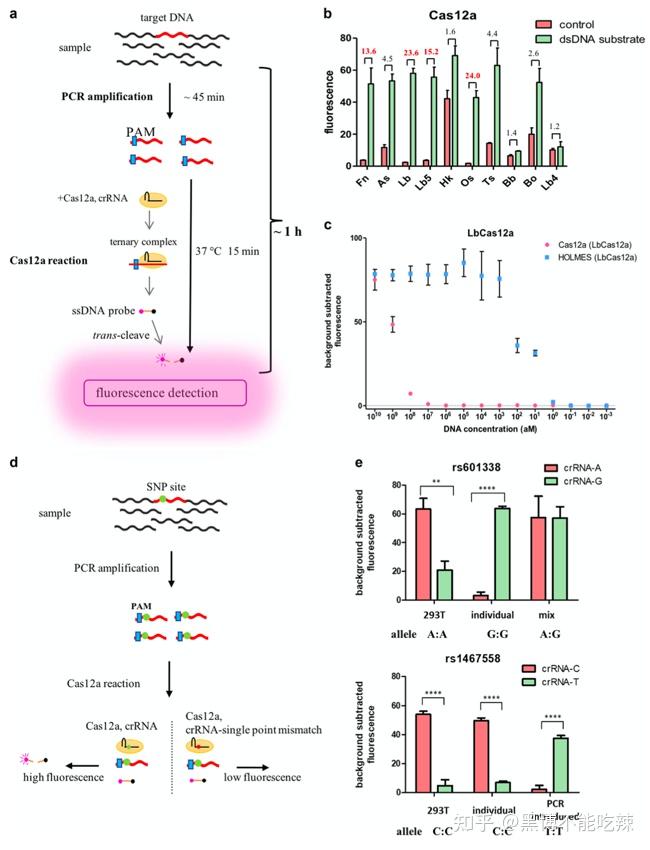 CRISPR-Dx技术mini-review - 知乎