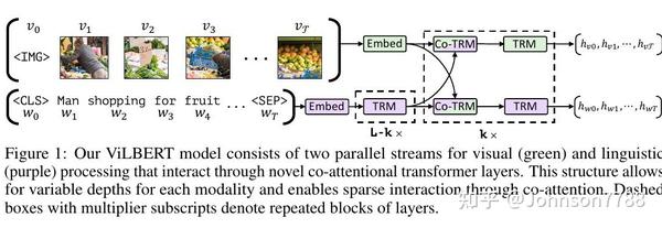 ViLBERT: 视觉和语言任务的预训练任务无关的视觉语言学表示 - 知乎