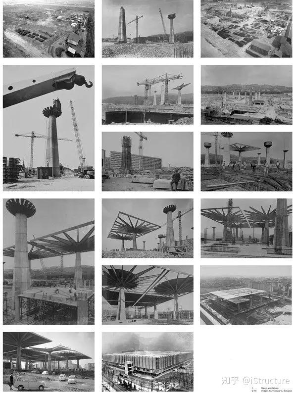 结构大师-P.L.Nervi - 知乎
