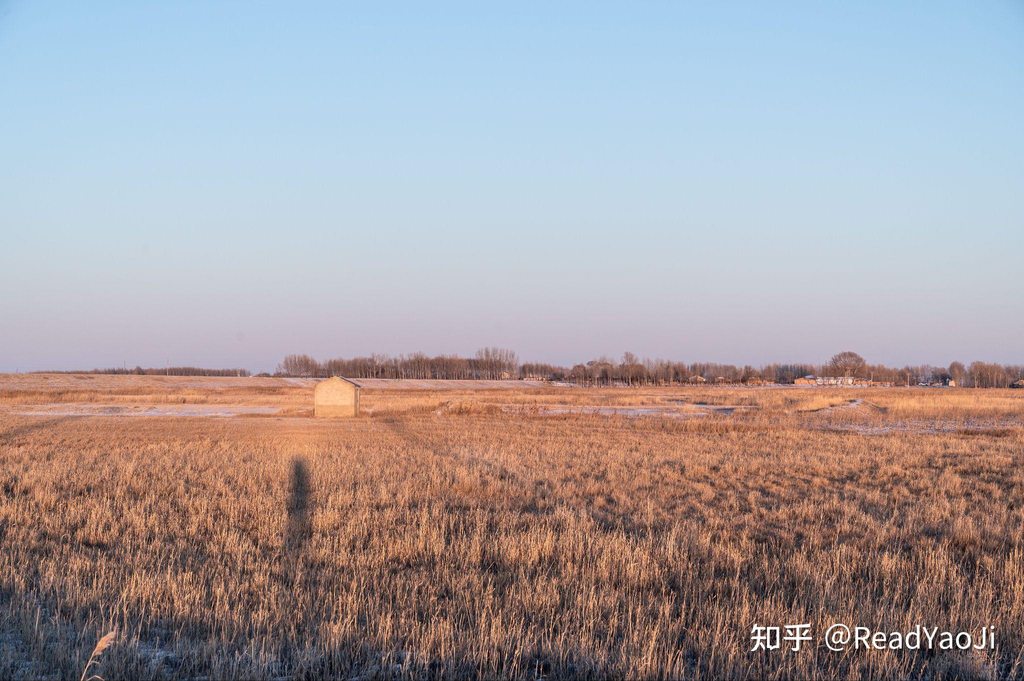 尼康z62近期使用报告 - 知乎