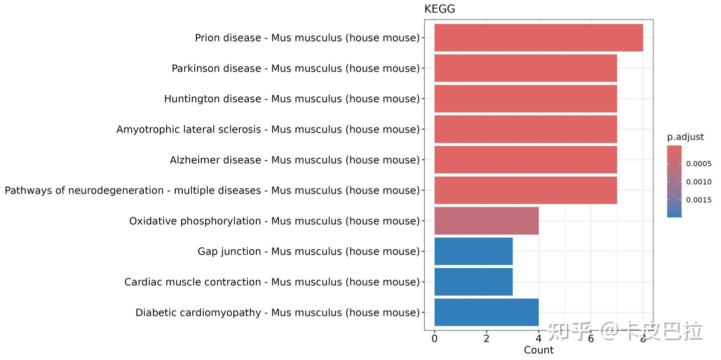 ClusterProfiler进行基因富集分析（GO、KEGG） - 知乎