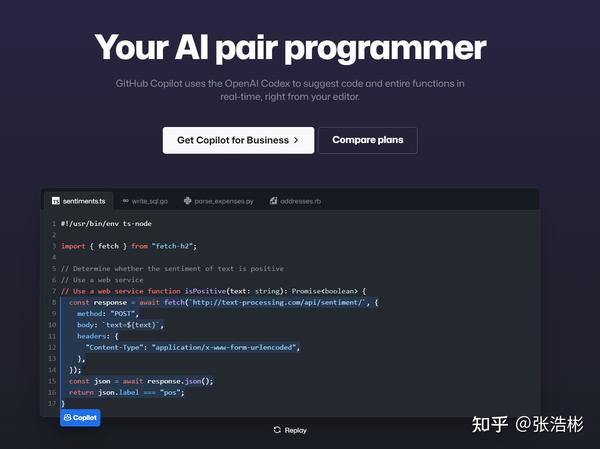 2023年AI编程工具总结 - 知乎