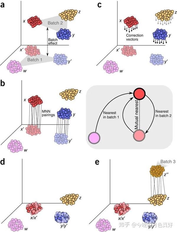 每天一篇单细胞15-方法3：MNN - 知乎