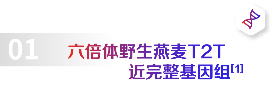 T2T基因组新突破：从小基因组到大基因组的跨越 - 知乎