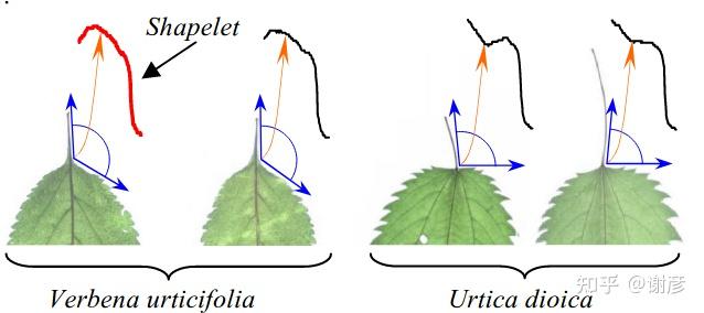 论文阅读_时序模型Shapelet - 知乎
