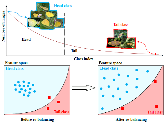 Long-Tailed图像数据分类 - 知乎