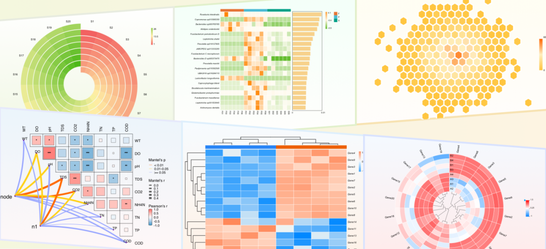 6款独具特色的热图图表，让你的数据分析大放异彩 - 知乎
